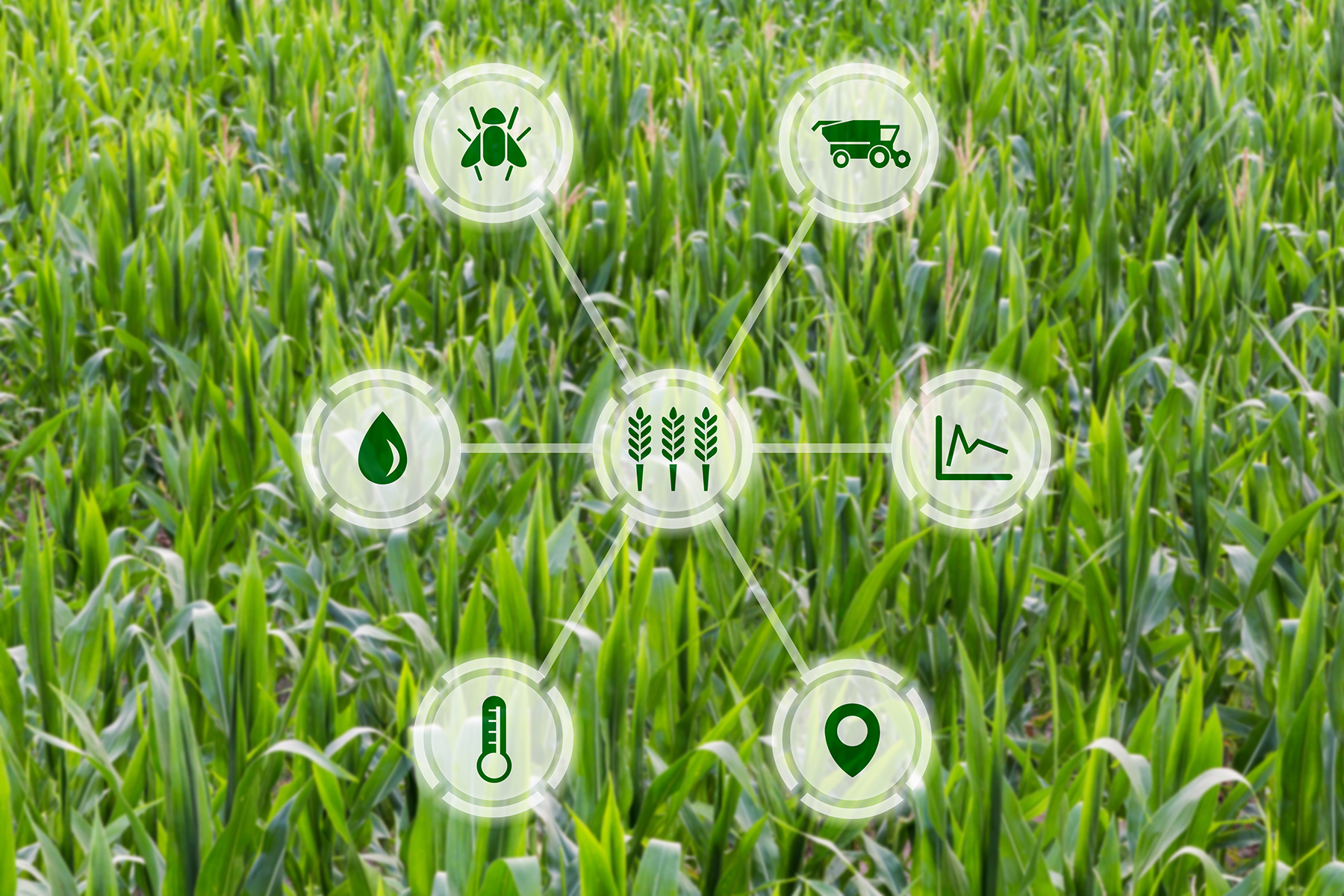 Aggregation is the key to unlock the huge potential of Africa’s ...